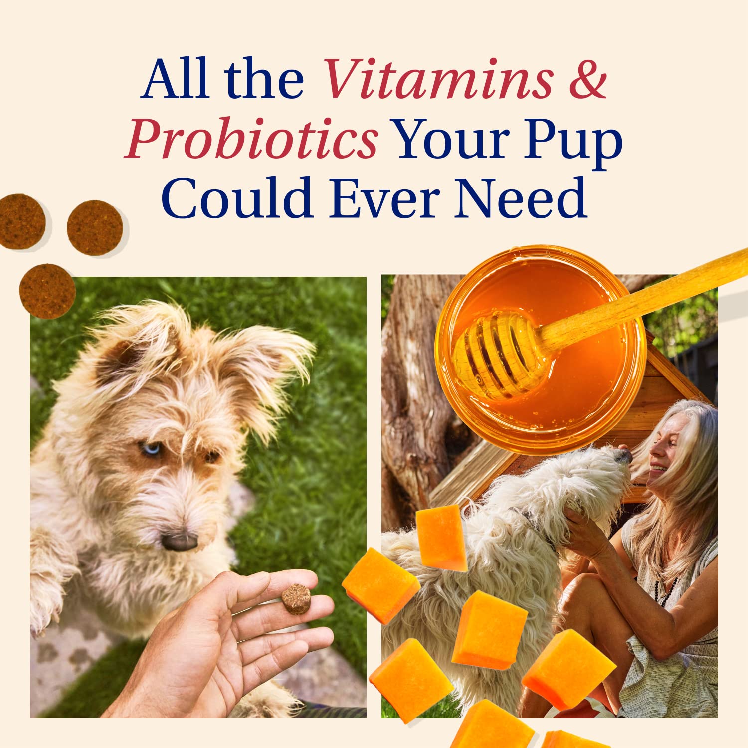 PetLab Co – Multi-Vitamin & Dog Probiotic Bundle: Chewable Multivitamins for Dogs Support Health & Dog Probiotics to Support Itchy Skin, Occasional Loose Stools, and Healthy Yeast Production
