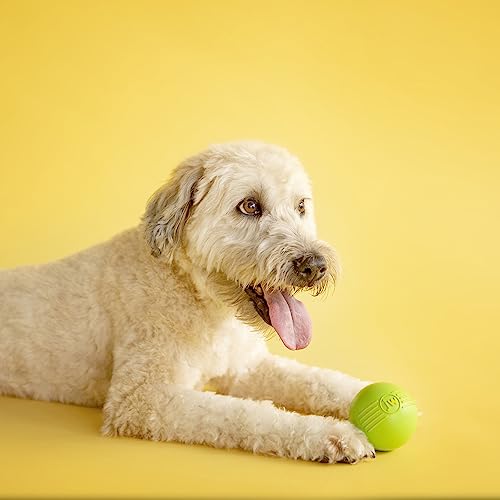 JW Pet Dog Isqueak Ball Large, Colors May Vary