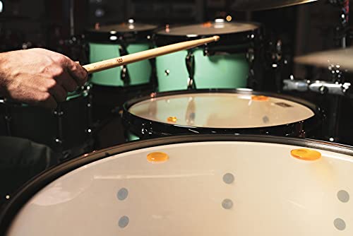 Meinl Cymbals pc Drum Honey Dampening Gel Pads, 12 Piece Assortment with Varying Sizes β Includes Container and Dividers (MDHA)