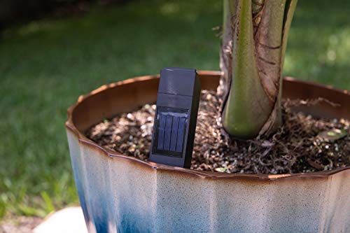 Kenroy Home 60650 Plant Solar Lighting, Small, Black