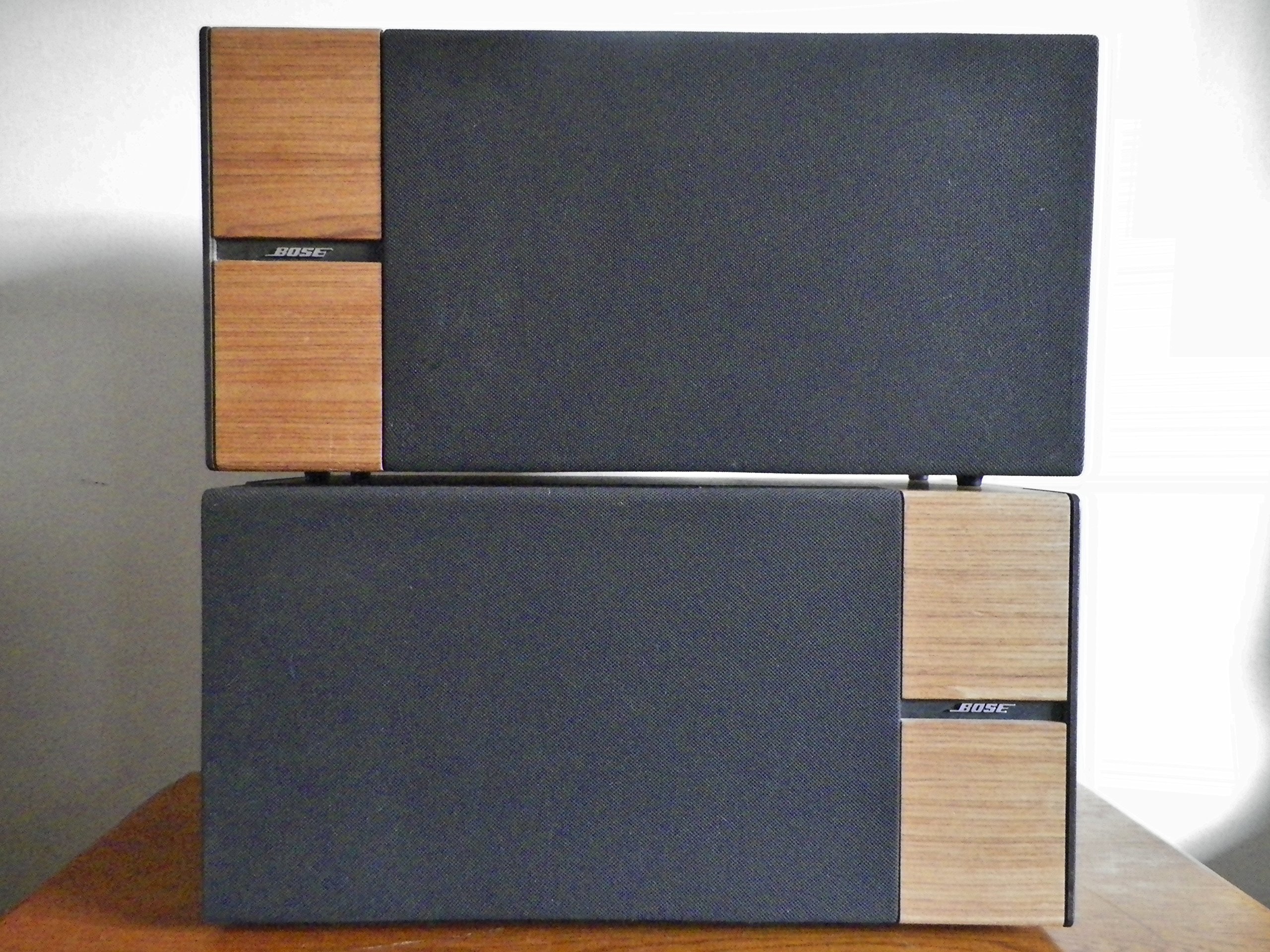 Bose 6.2 Everywhere Speakers