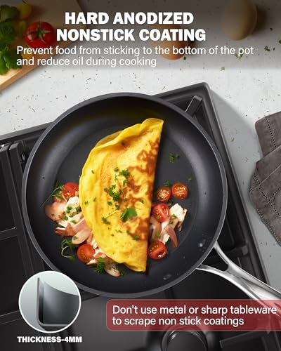 Cooks Standard Frying Omelet Pan, Classic Hard Anodized Nonstick 8-Inch/20cm Saute Skillet Egg Pan, Black