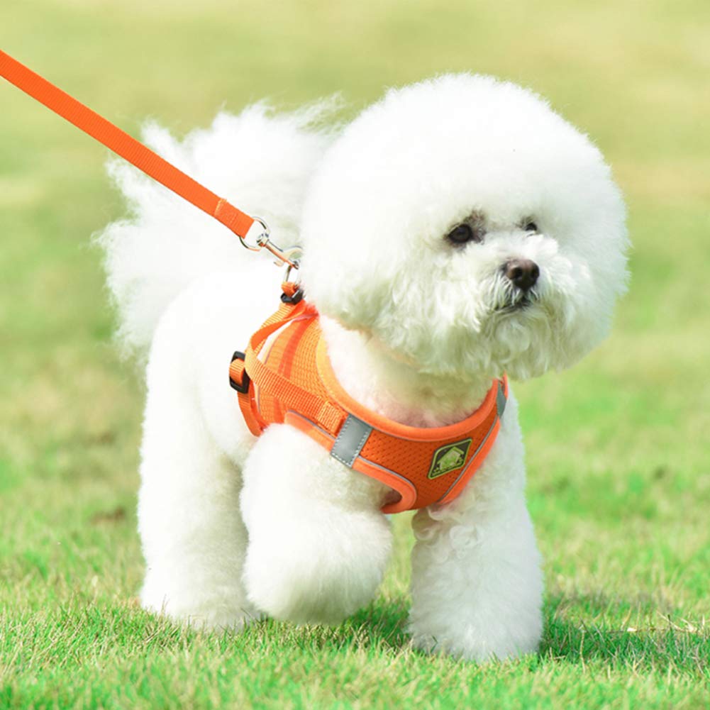 FEimaX Dog Harness and Leash Set, No Pull Breathable Soft Mesh Puppy Vest Harness Reflective Adjustable Pet Harnesses for Small Medium Dogs and Cats - Outdoor Easy Control for Walking