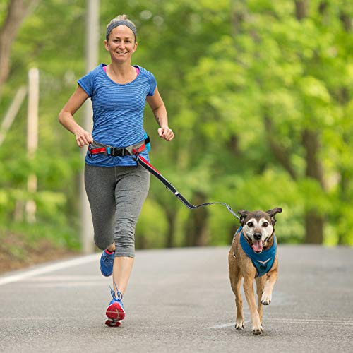 Kurgo K9 Excursion Belt, Hands Free Dog Running Belt, Running Dog Leash Belt, with Poop Bag Dispenser, Adjustable, Reflective Trim, Two Leash Clips, for Running, Walking, Hiking