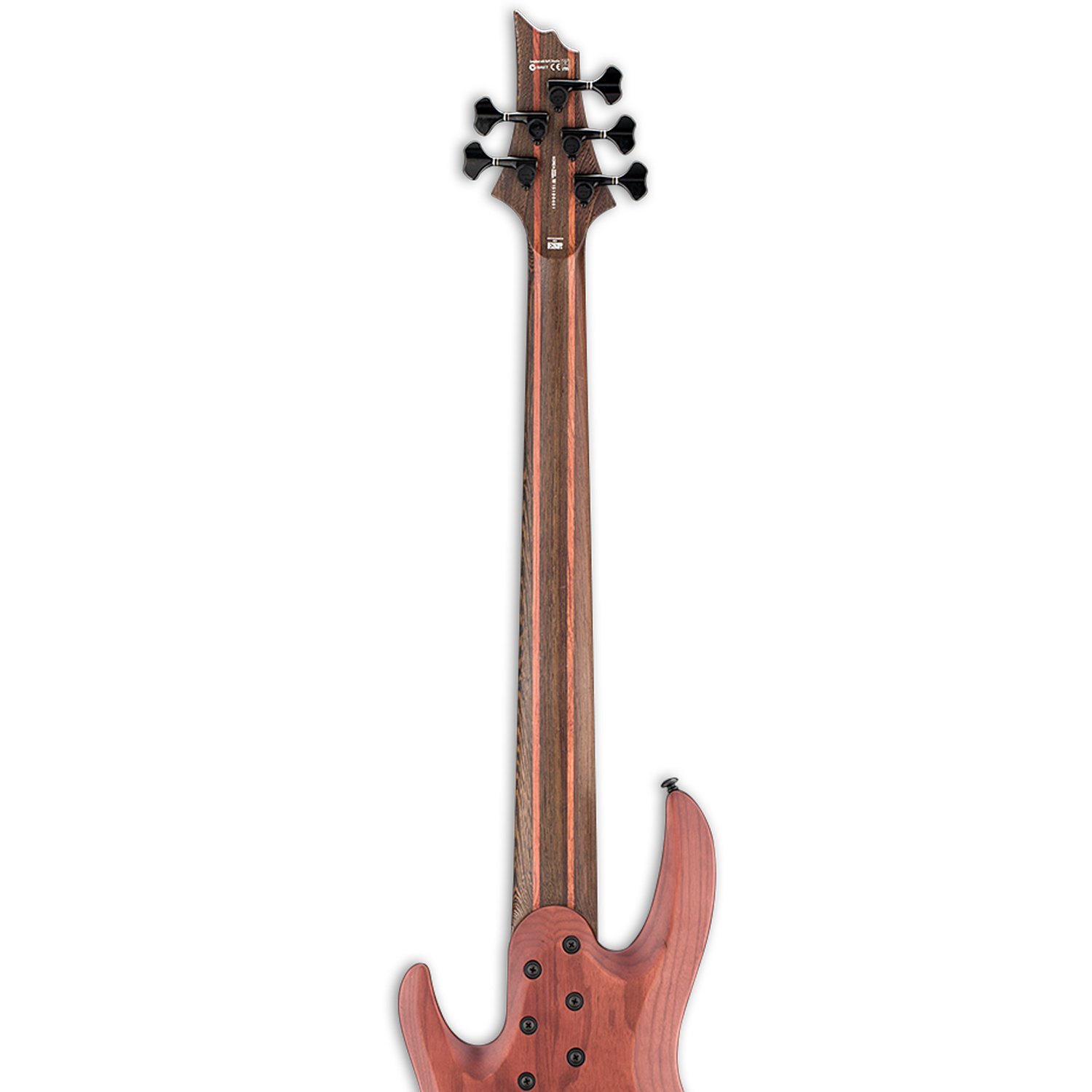 ESP LB1005SEBNS-KIT-1 B Series B-1005SE 5-String Electric Bass Guitar, Natural Satin