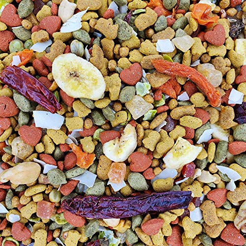 Higgins 2 Pack of Intune Harmony Food for Parrots and Large Birds, 3 Pounds Each