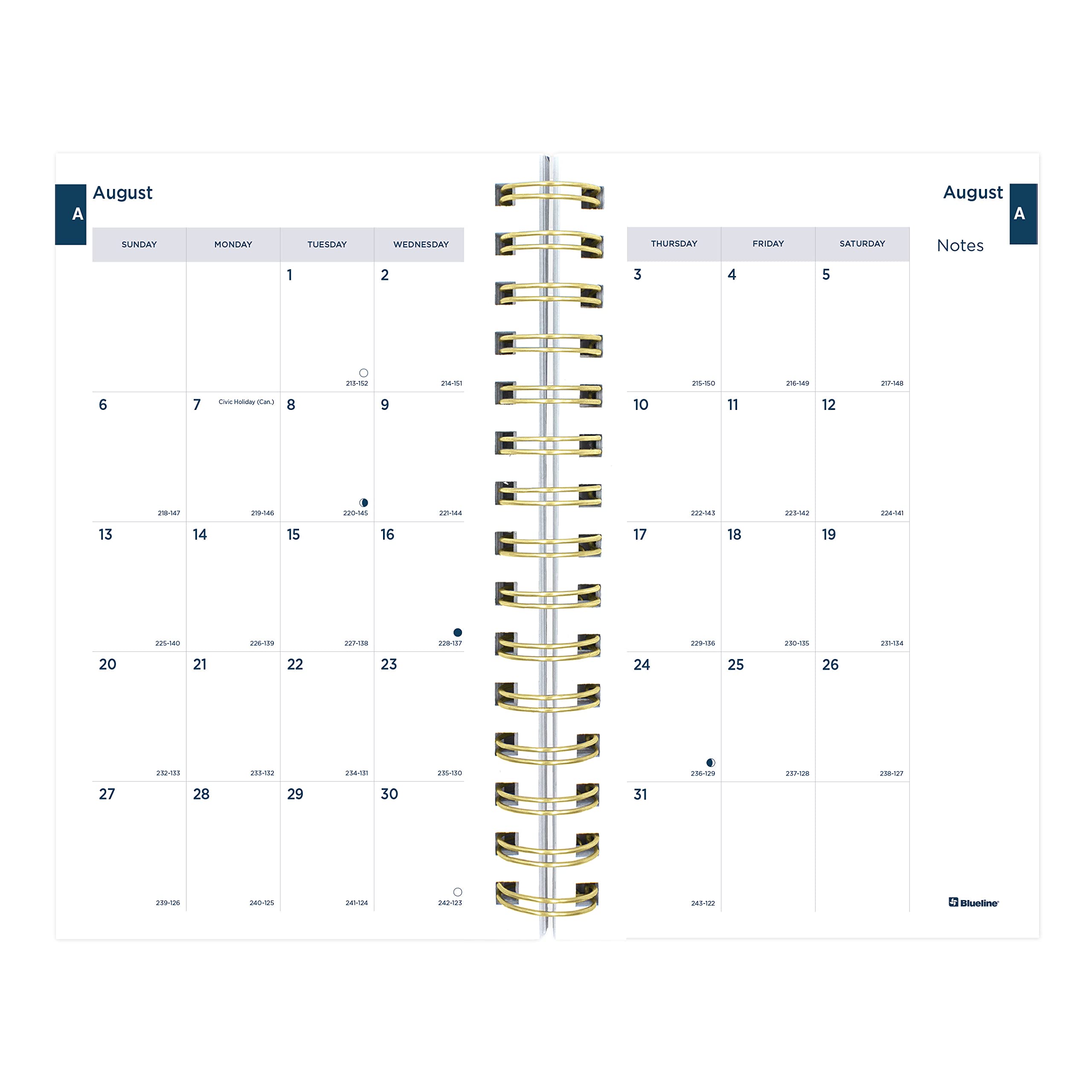 Blueline Essential Academic Daily/Monthly Planner, August 2023 to July 2024, Gold Twin-Wire Binding, Poly Cover, 8" x 5", Geo Design, Honeycomb (CA214PH.02-24)