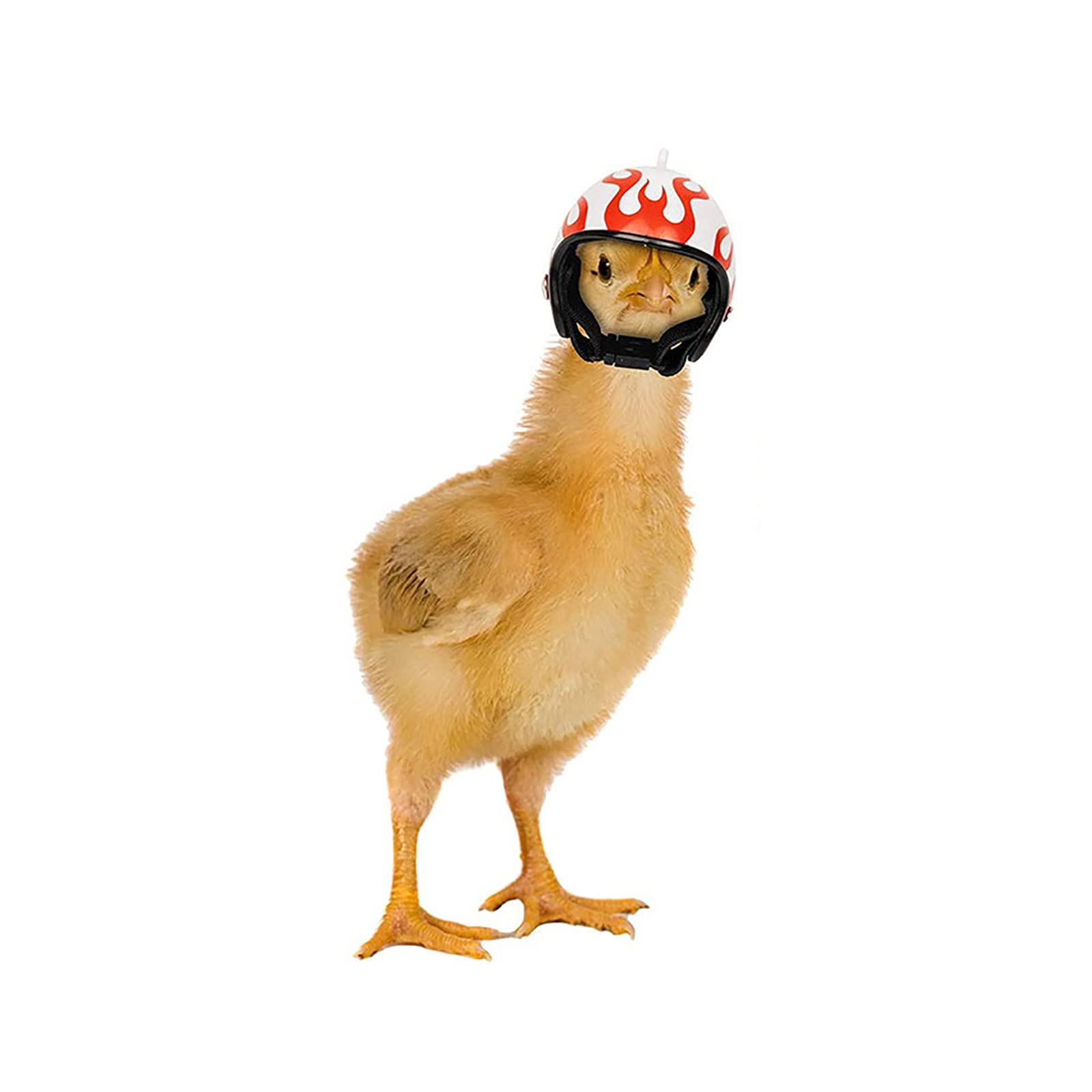Chicken Helmet - Chicken Bird Toy Head Protection Helmet Bird Hat Headwear Suitable for Parrot Small Chickens, Ducks and Other Poultry Funny Pet Safety Helmet Costumes Accessories (D)