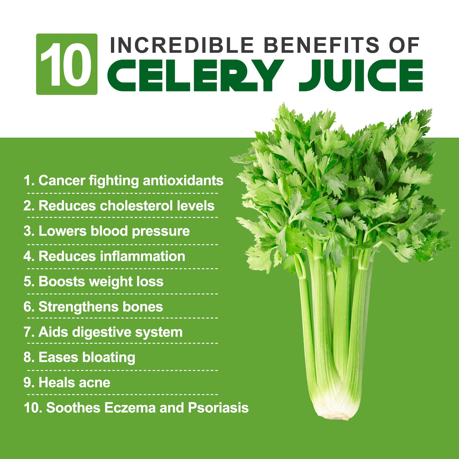 Celery Juicer Machine Slow Masticating Juicers Cold Press Juicer Real Easy Clean Extractor for Vegetable Fruit 1.8 inch Chute Quite Low db