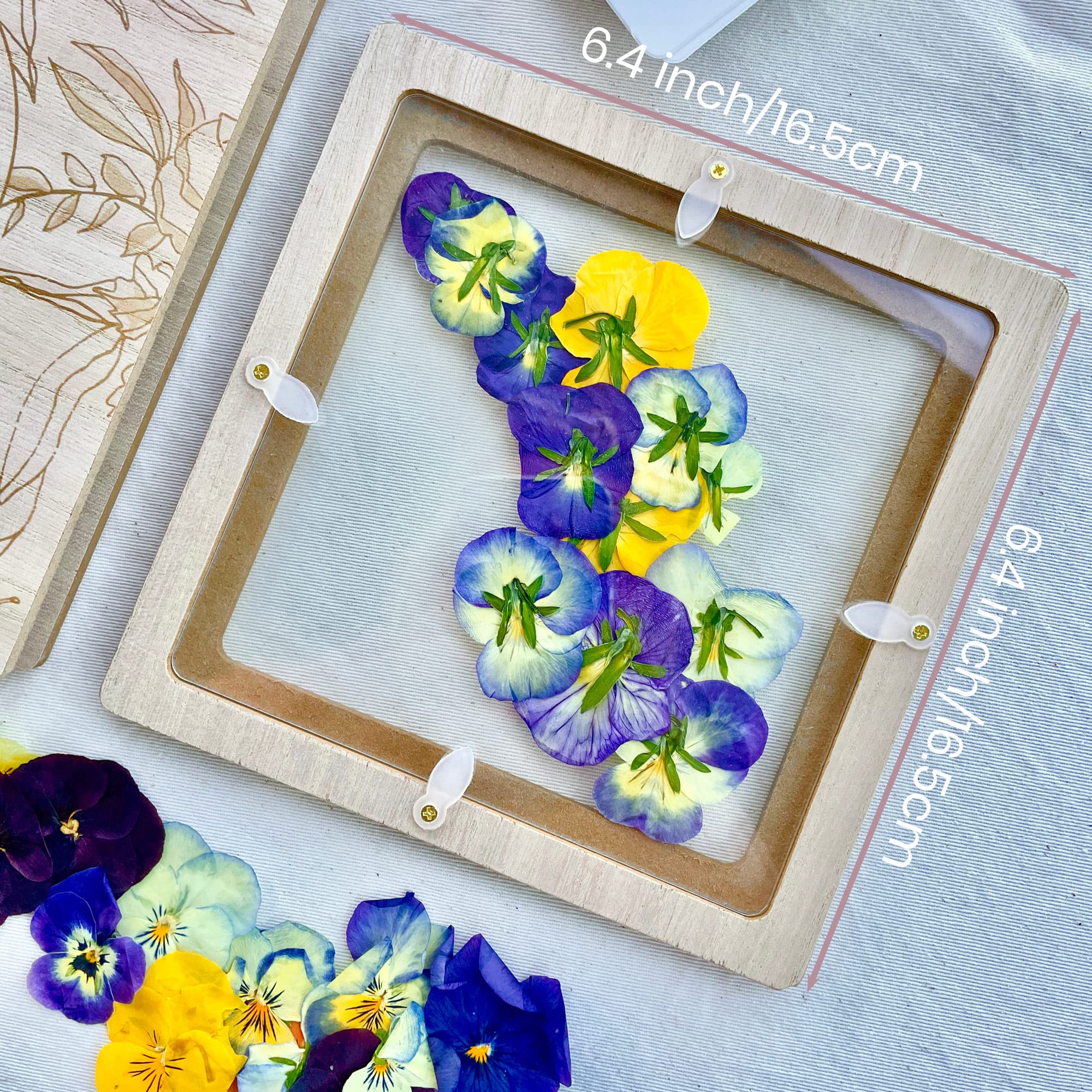 Petal Co Wooden Flower Press 7inch x 7inch with Frame for pressed flowers and leaves including Ultimate Guide to Flower Pressing