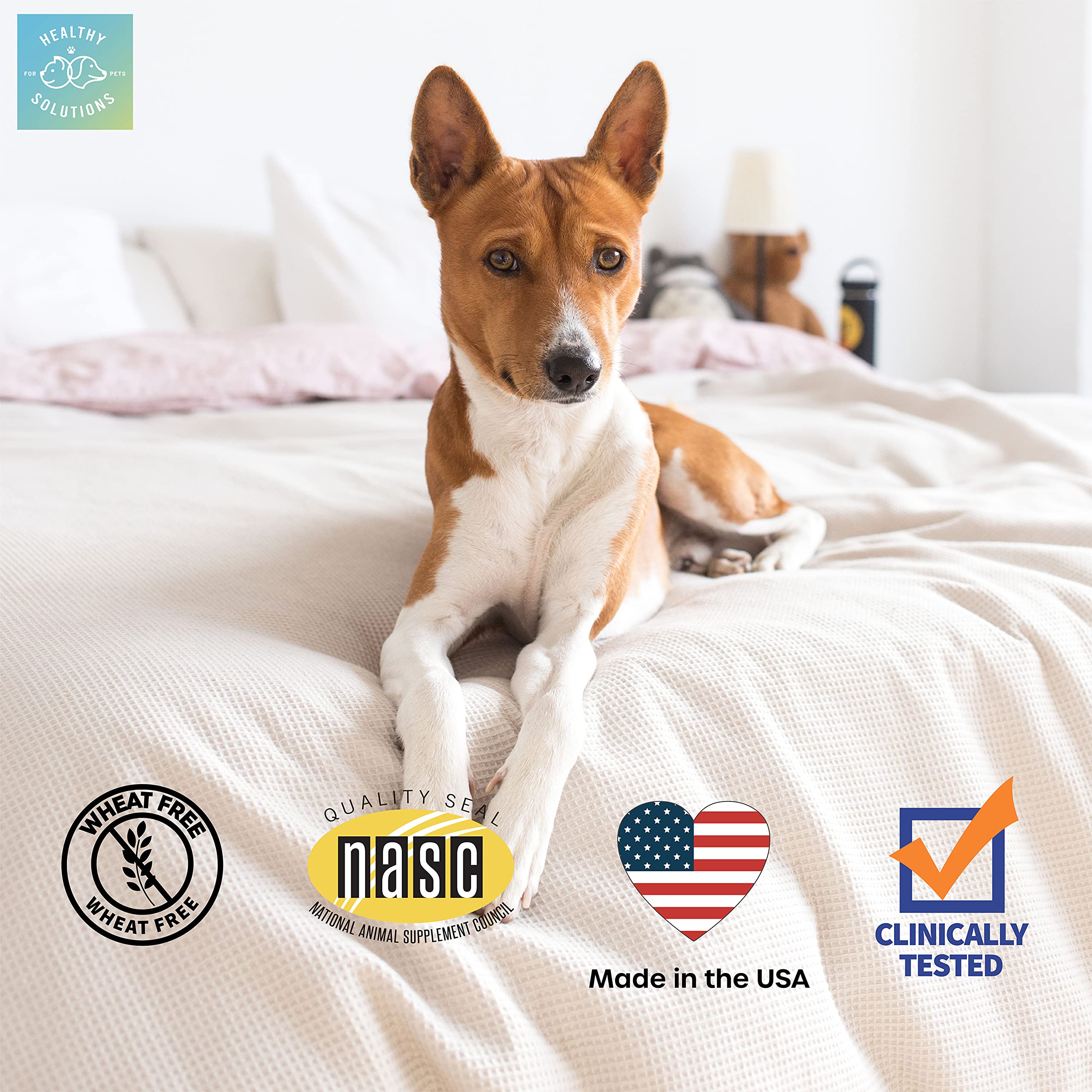 Glucosamine for Dogs - Advanced Dog Hip & Joint Supplement with Chondroitin & Hyaluronic Acid - 60 Soft Joint Health Chews - Made in USA