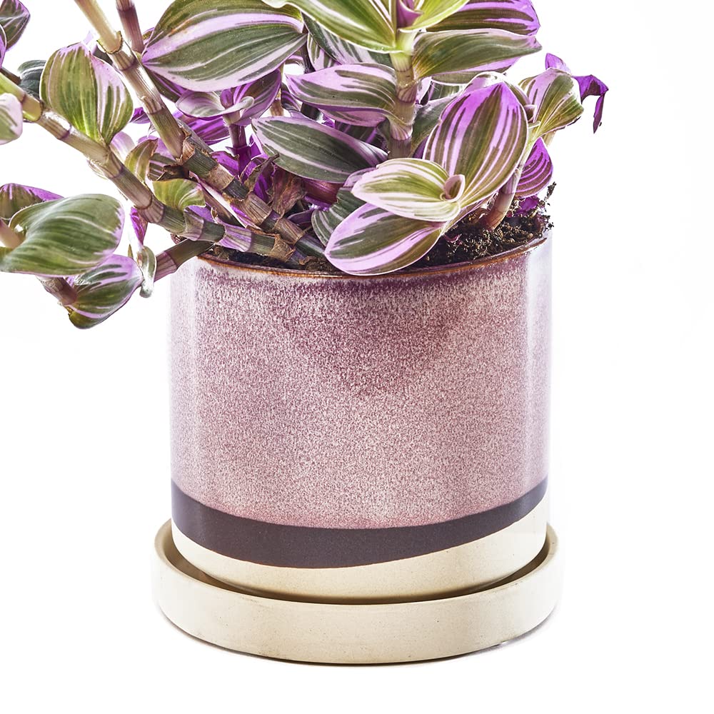 CHIVE ‘Minute’ Ceramic Planter Pot — Cute 5” Colorful Succulent Pots for Indoor & Outdoor House Plants — Beautiful Modern Farmhouse Kitchen Decor — Burgundy