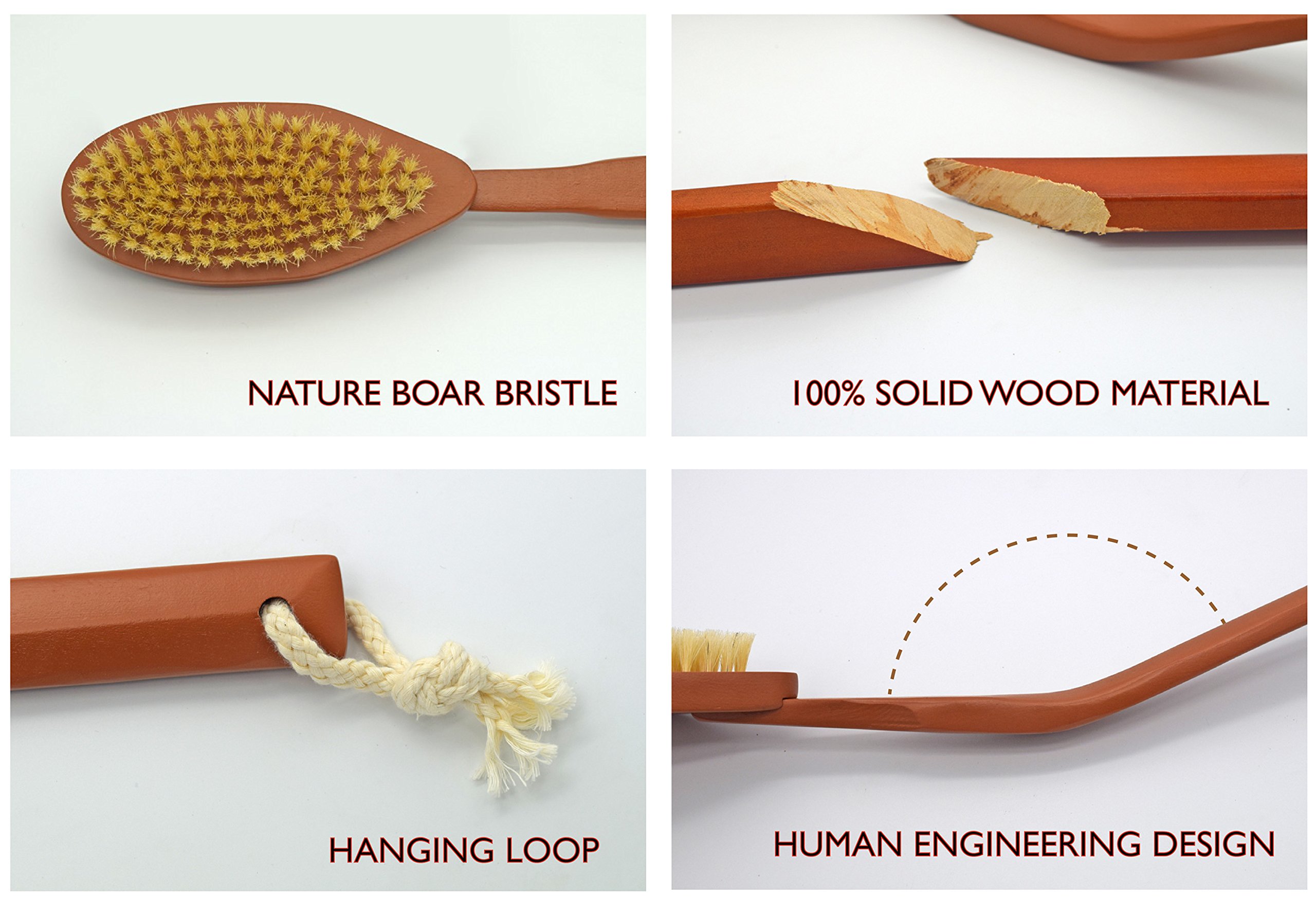 UTRAX 20'' Long Detachable Wooden Bath Brush with Curved Reach Handle Hanging Wood Shower Brush with Boar-Bristle