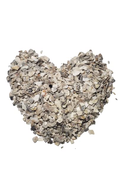 ESVK Chicken and Bird Feed Calcium Supplement | for Healthy Eggs Natural Flaked Oyster Shell - 8 Pounds (Pack of 1) | Made in USA