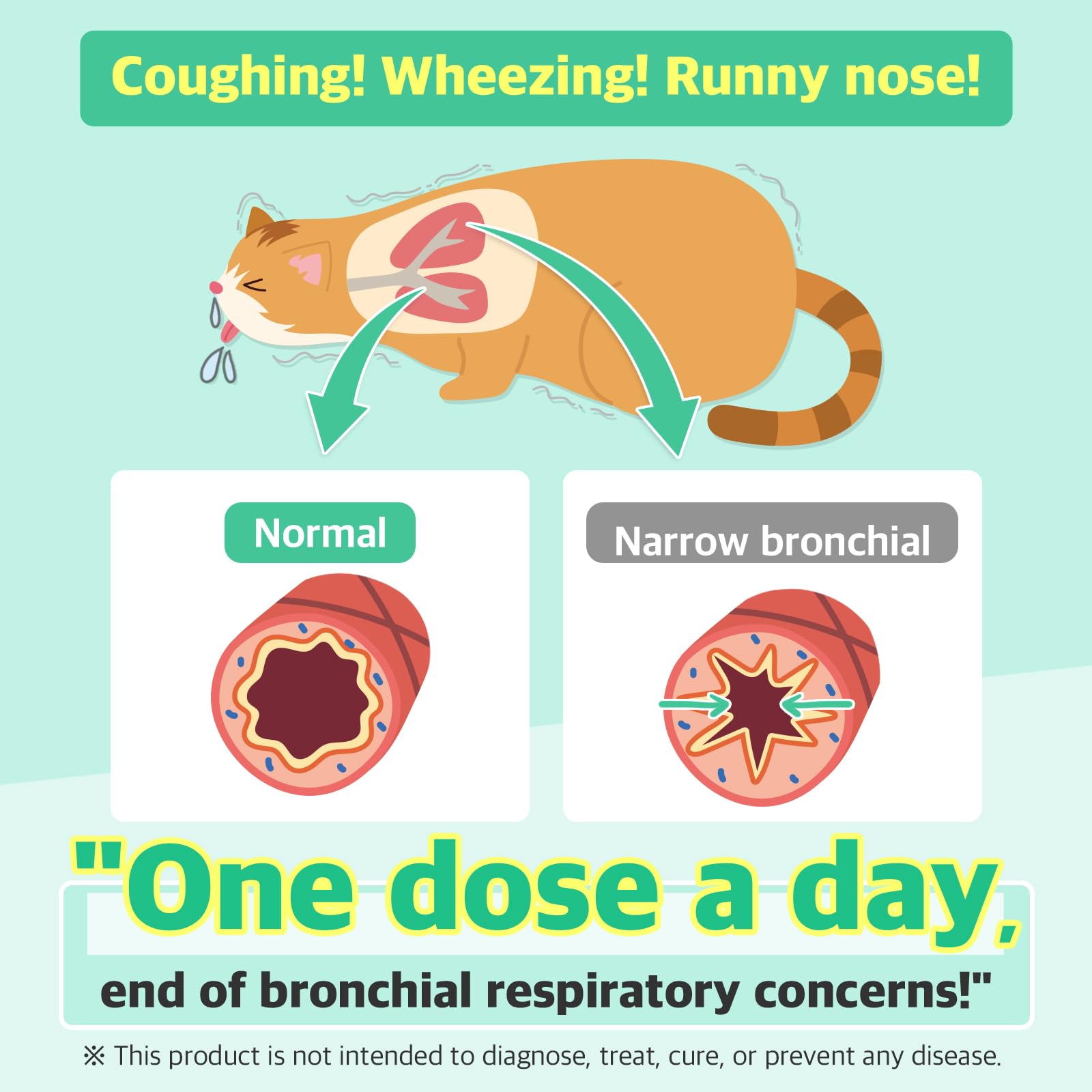 Doctorby Cat Breath Bronchial Supplements - Cat Nose Relief Sneezing runny Nose Drops Respiratory Function & Immune Support with TF-343-30 Individually Packaged (1 Pack (30 Count)), Chicken