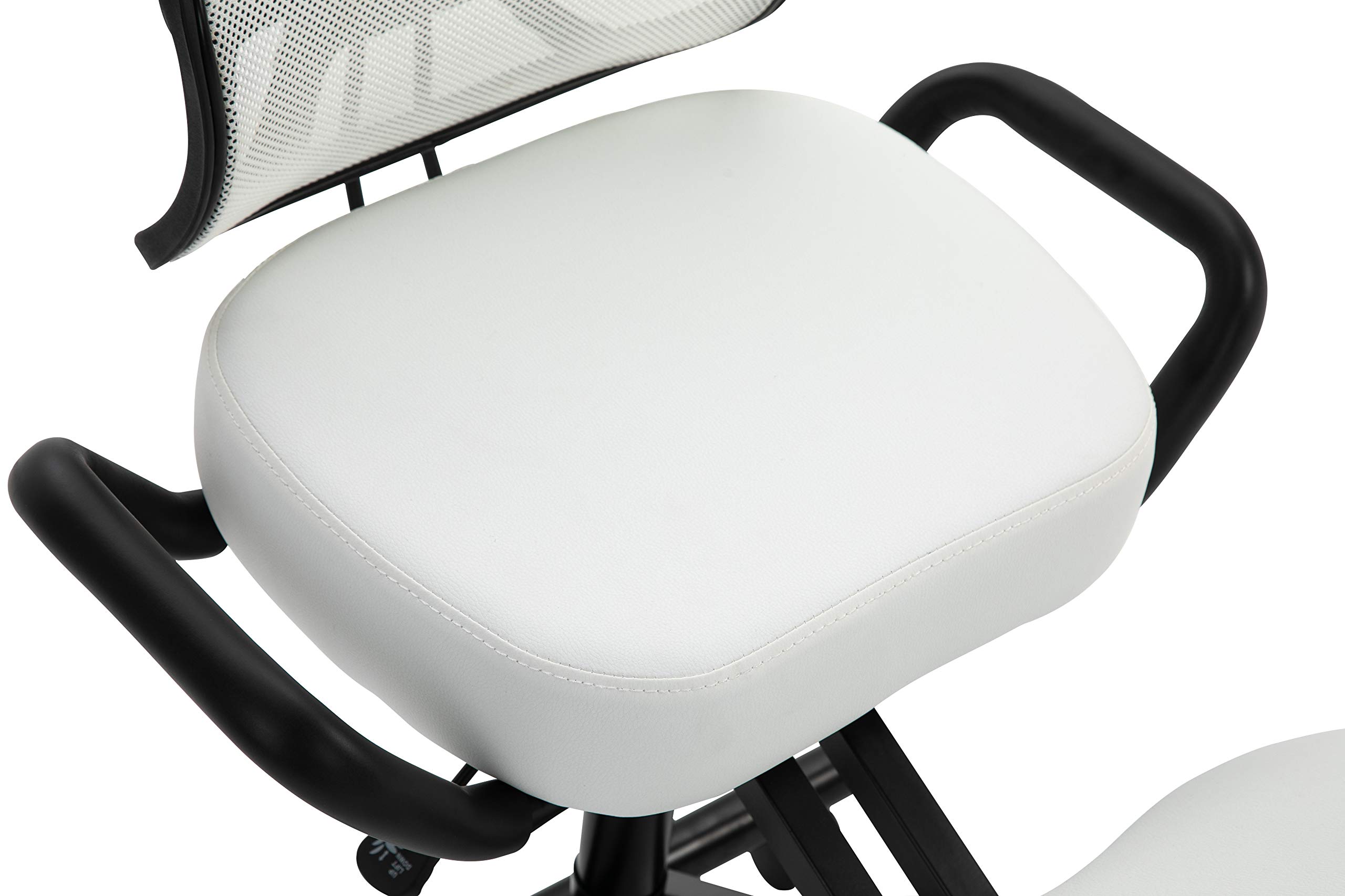 Beautiful Ergonomic Kneeling Chair with Thick Leather Cushions, Pneumatic Height Adjustment, Back Support, Side Handles, Back Pain Relief, Work from Home & Office, Stork [Updated August 2021]