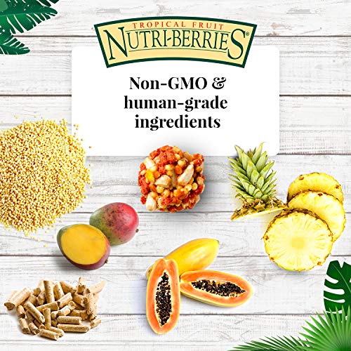 LAFEBER'S Tropical Fruit Nutri-Berries Pet Bird Food, Made with Non-GMO and Human-Grade Ingredients, for Parrots, 20 lb