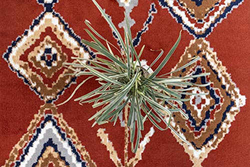 Furnish my Place Moroccan Diamond Rug - 7 ft. 8 in. x 11 ft, Rust, Geometric, Accent Rug with Transitional Style