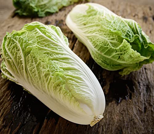 Gaea's Blessing Seeds - Chinese Cabbage Seeds - Michihili Heirloom - Non-GMO Seeds with Easy to Follow Planting Instructions - Open-Pollinated High Yield Heirloom 94% Germination Rate
