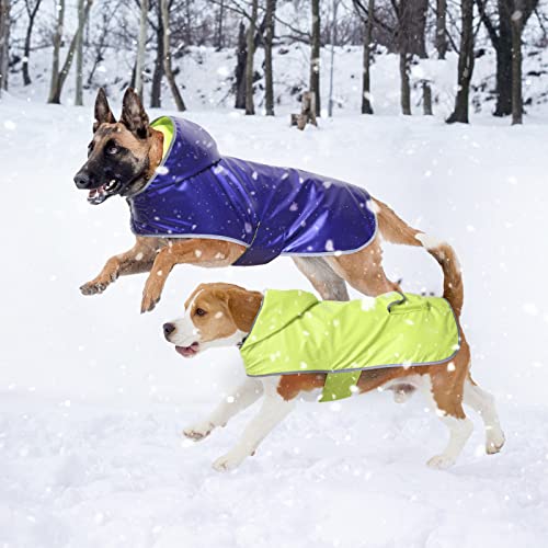 Illumifun Dog Raincoat with Hood - Waterproof Reversible Dog Coats, Lightweight Dog Rain Jacket for Small Medium Large Dogs (X-Large)