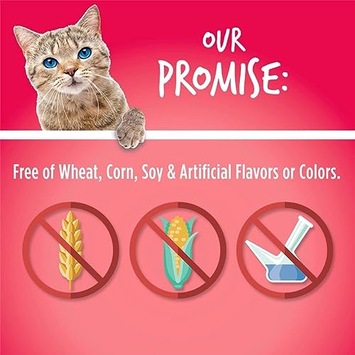 Fruitables Cat Crunchy Treats For Cats β Healthy Low Calorie Packed with Protein β Free of Wheat, Corn and Soy β Made with Real Salmon with Cranberry β 2.5 Ounces