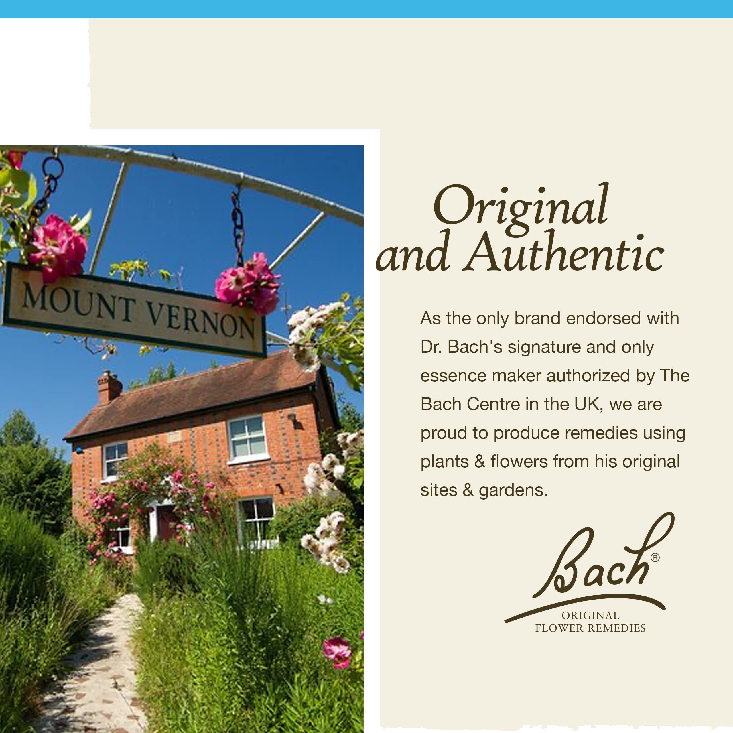 Bach Original Flower Remedies, Chicory for Unconditional Love, Natural Homeopathic Flower Essence, Holistic Wellness and Stress Relief, Vegan, 20mL Dropper