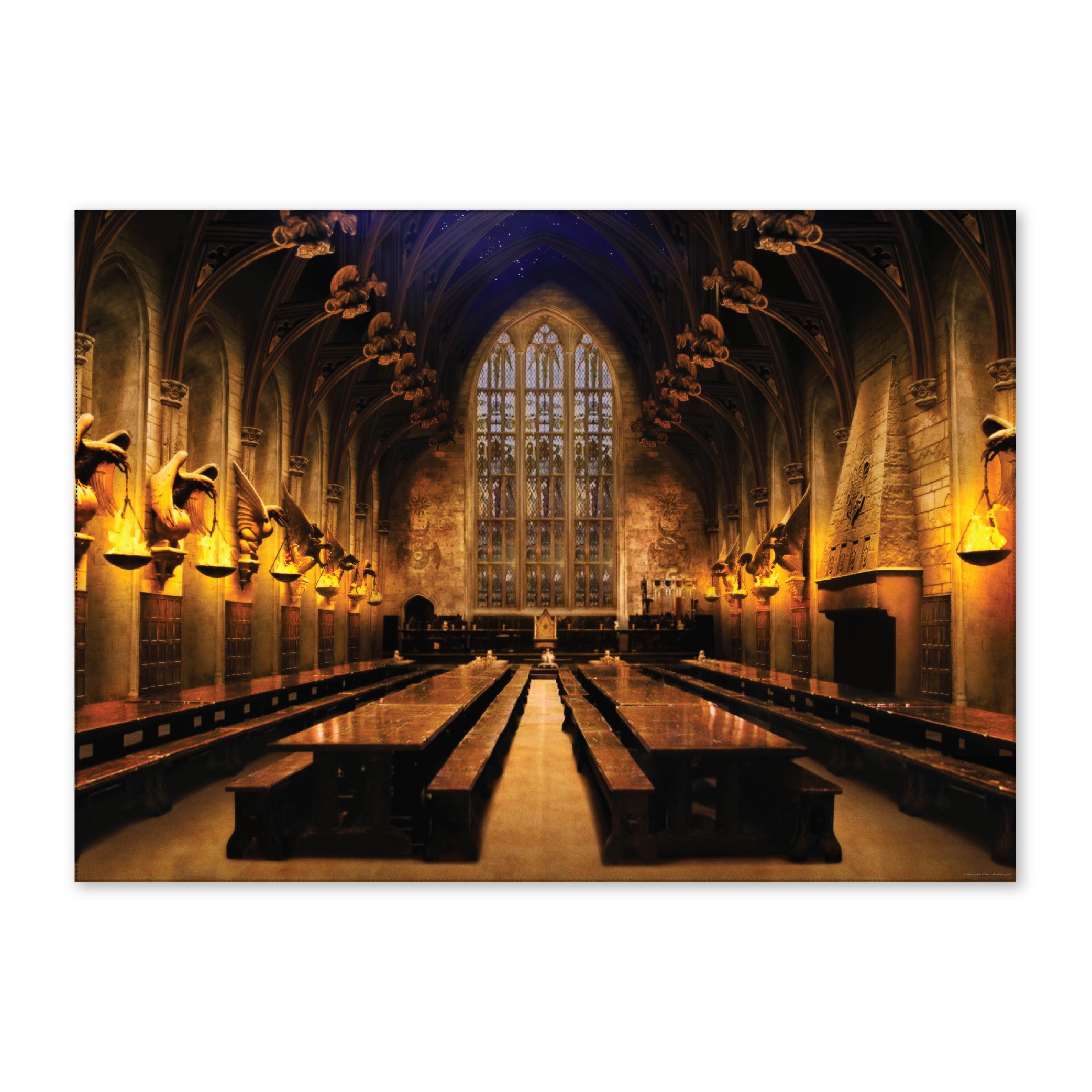 Conquest Journals Harry Potter Hogwarts Great Hall Backdrop Wall Banner, Large Photo Backdrop, Party Decoration, Wizarding World Room Decor, 5ft x 7ft (60'' x 84''), Officially Licensed
