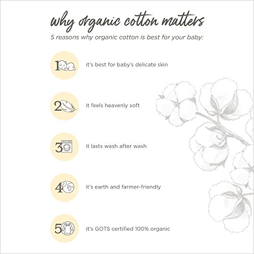Burt's Bees Baby - Fitted Crib Sheets, Solid Color, 100% Organic Cotton Crib Sheet for Standard Crib & Toddler Mattresses, 2 Pack, Heather Grey/White