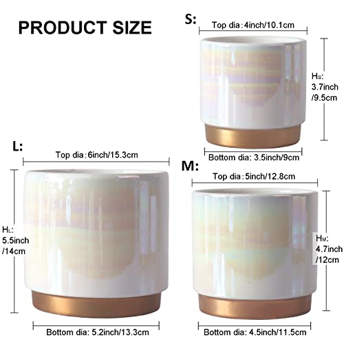 Gepege White Indoor Pots for Plants, Ceramic Planter with Drainage Hole, 6.0 inch+5.0 Inch+4.0 Inch. Succulent Orchid Flower Pot - Rainbow Pearl Glaze