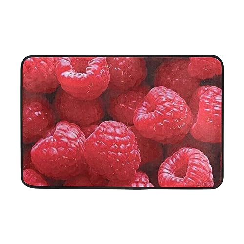 Doormat Welcome Door Mat-Red Raspberries As Background 4x5 Film,Living Room Kitchen Floor Mat Home Indoor Outdoor Decoration 24X16INCH