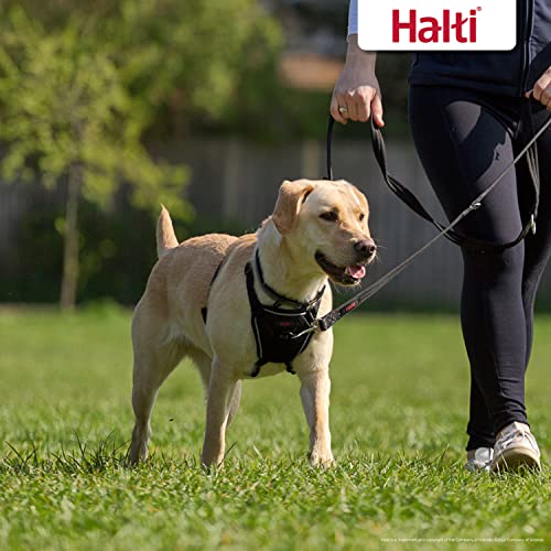 HALTI No Pull Harness Size Medium, Bestselling Professional Dog Harness to Stop Pulling on The Lead, Easy to Use, Anti-Pull Training Aid, Adjustable, Reflective and Breathable, for Medium Dogs Black