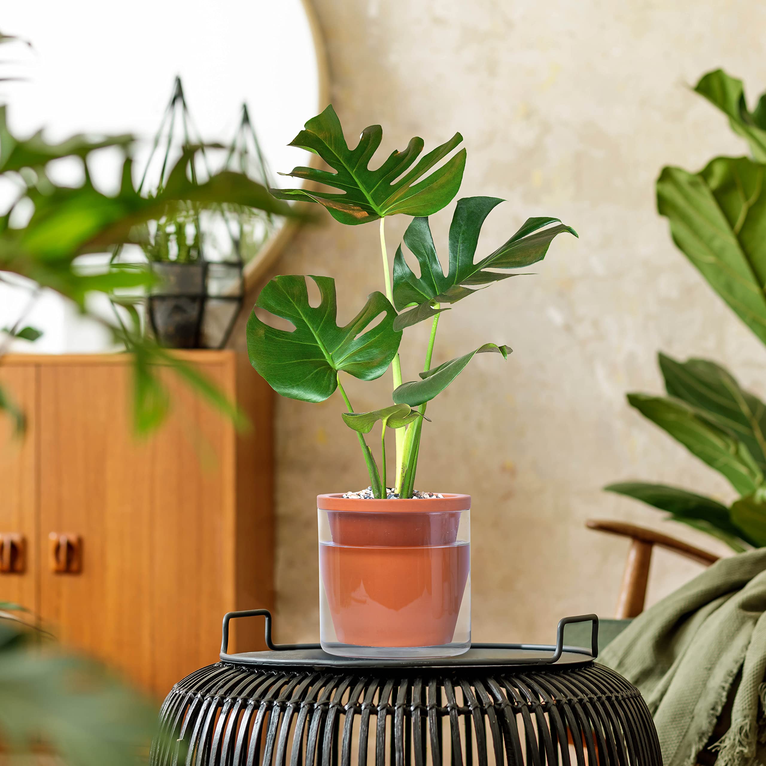 D'vine Dev 6 Inch Design Self Watering Pot for Indoor Plants, Terracotta Planter with Cylinder Glass Cup, Set of 2, 372-B-2