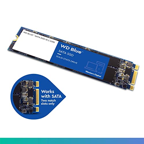 Western Digital 1TB WD Blue 3D NAND Internal PC SSD - SATA III 6 Gb/s, M.2 2280, Up to 560 MB/s - WDS100T2B0B