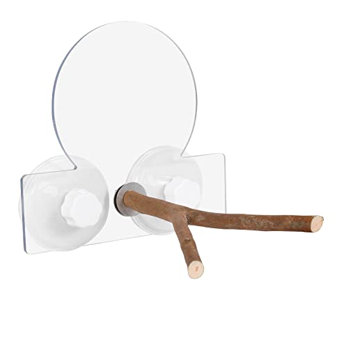 GJRGEG1Y Removable Window/Shower Perch Platform with Suction Cups for Bird Includes Stainless Steel Washer Robust and Stable Without Falling (Small)