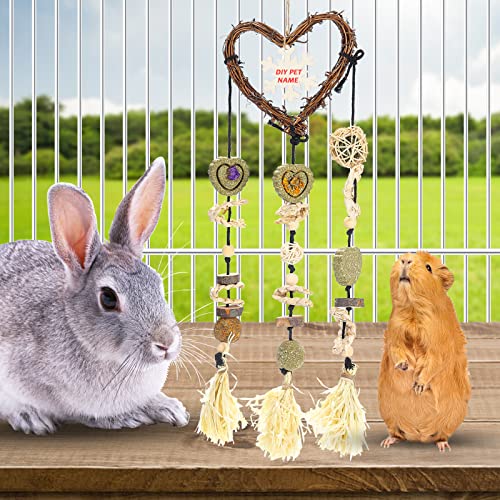 DAMPET Bunny Chew Toys, Bunny Teeth Grinding Chew Toys, Rabbit Cage Hanging Chew Toys, All Natural Materials for Guinea Pigs, Hamsters, Rabbits and Rats