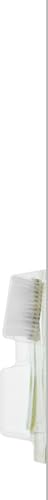 Radius Replacement Heads, Soft, 2 Count (Pack of 3)