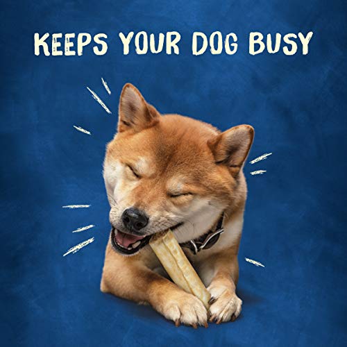 Purina Busy Rawhide Small/Medium Breed Dog Bones, Rollhide - 9 ct. Pouch