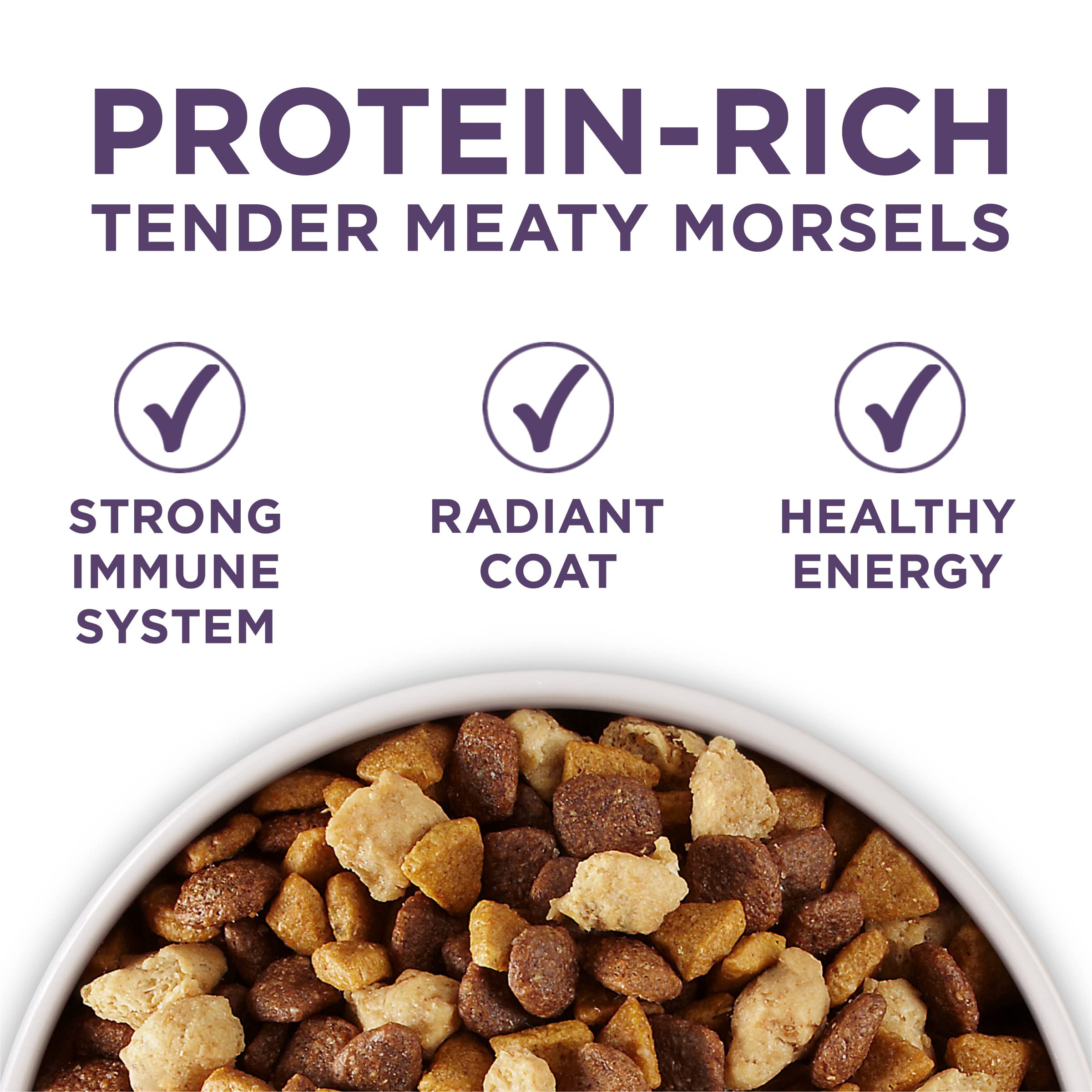Purina ONE High Protein Dry Senior Dog Food Plus Vibrant Maturity Adult 7 Plus Formula - 8 lb. Bag