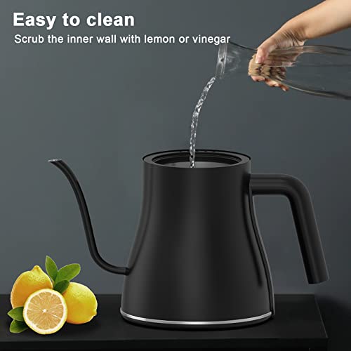 Gooseneck Electric Kettle, WiFi Smart Electric Kettle Temperature Control, Pour Over Kettle and Tea Kettle, TUYA App Control, 1200W Quick Heating, 100% Stainless Steel, 0.8L, Matte Black