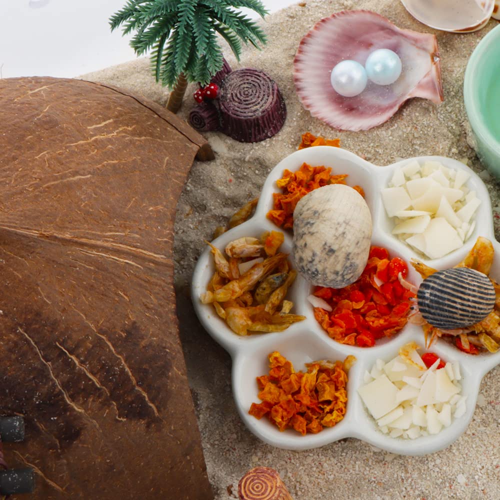 DQITJ 3 Pack Hermit Crab Hideout, Natural Coconut Shells Hut for Spider Hermit Crab Gecko Turtle Small Reptile Fish Tank Aquarium