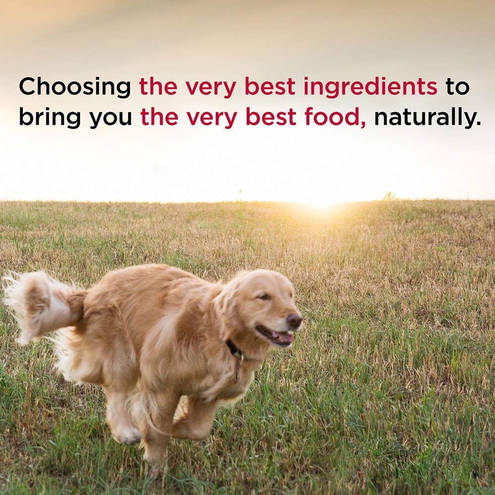 Diamond Naturals Light Real Meat Recipe Premium Dry Dog Food To Help Support Weight Management With Real Pasture Raised Lamb Protein 15Lb, 1772_15_DNL