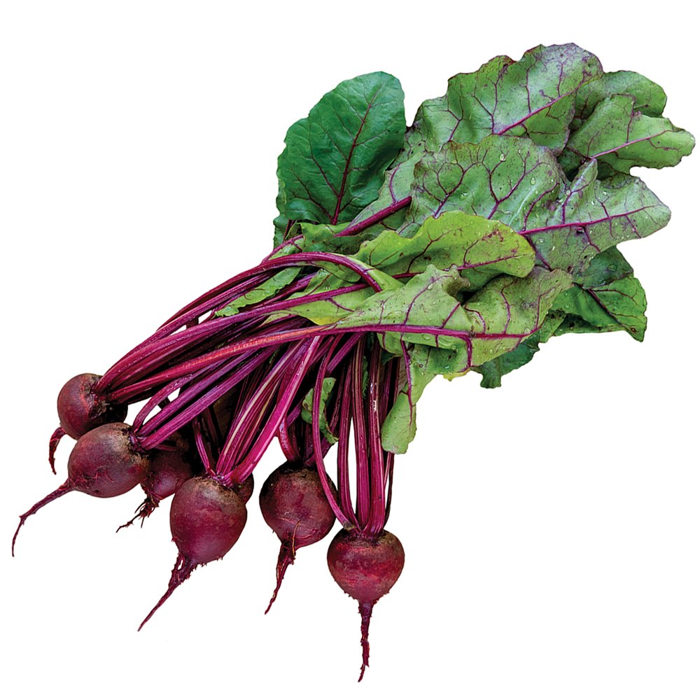 Burpee Detroit Dark Red Medium Top Beet Seeds 500 seeds