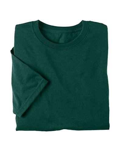 Hanes ComfortBlend EcoSmart Men`s Crewneck T-Shirt Teal