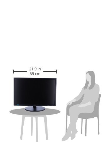 Samsung S22B420BW 22-Inch Screen LCD Monitor