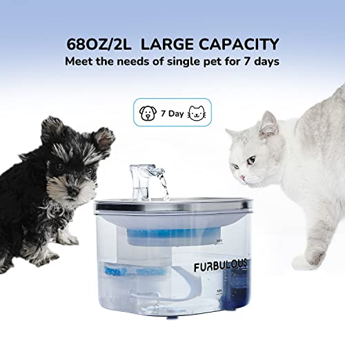 FURBULOUS pet Fountain 68oz/2L, Automatic cat Water Fountain, 3-Speed Adjustable Silent Water Pump, 304 Stainless Steel Drinking Tray, Translucent Water Tank. Dog Water Dispenser for Multiple Pets