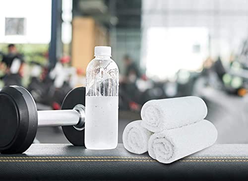 Cotton Terry Towels Cleaning Cloths, 100% Cotton Terry Cloth Bar Rags White Bar Towels, Multipurpose High Absorbent Terry Towels for Cleaning Auto Detailing or Painters- White- 12"x12" (500 Pack)