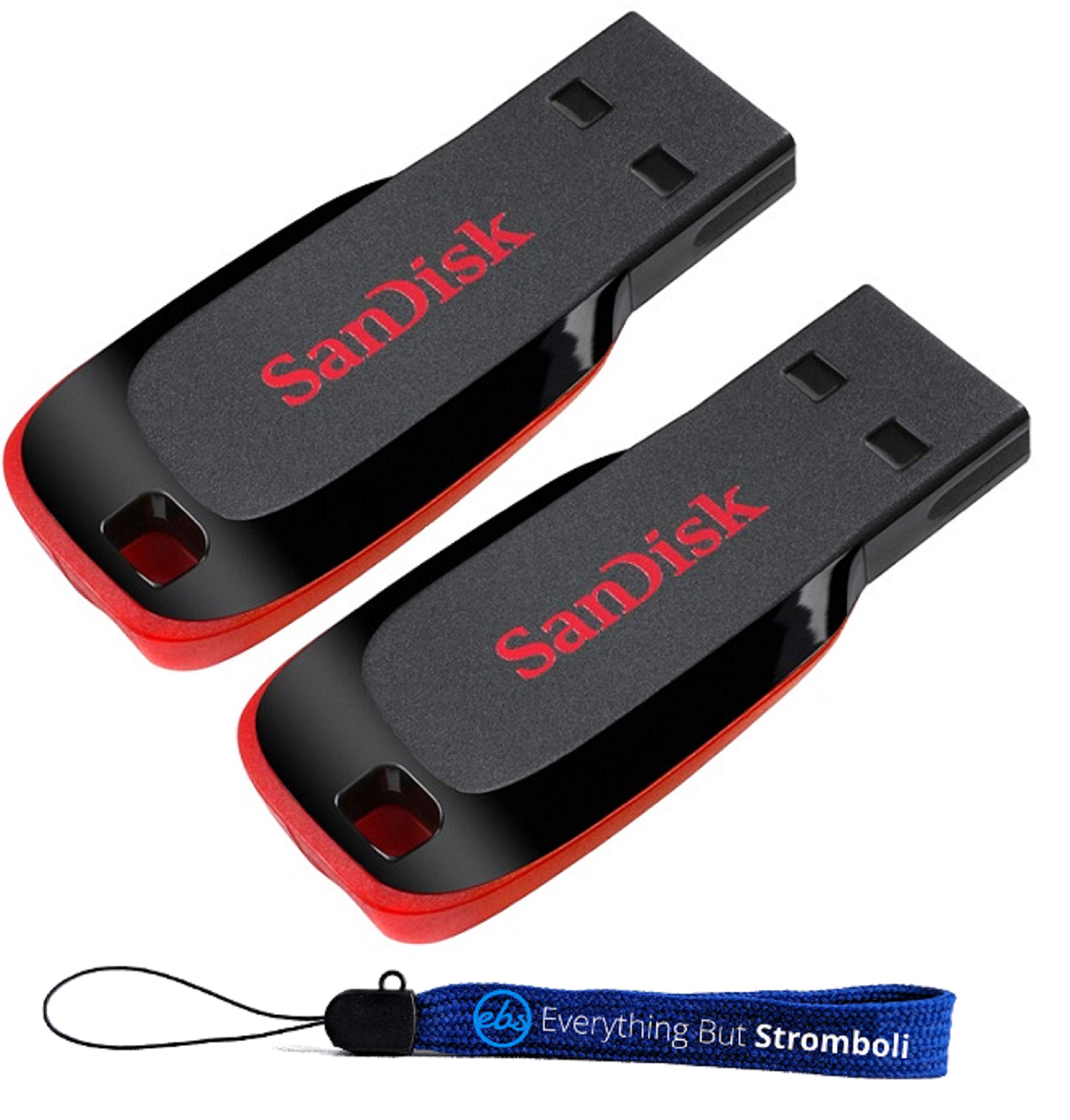 SanDisk Cruzer 32GB (16GB x 2) Cruzer Blade USB 2.0 Flash Drive Jump Drive Pen Drive SDCZ50 - Two Pack w/Everything But Stromboli (tm) Lanyard