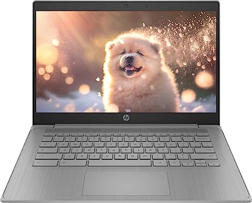 HP Chromebook 14 Inch Laptop for College Students, School, Intel Celeron Processor N4120, 4GB DDR4 RAM, 64GB eMMC, Chrome OS, 720p Webcam, HDMI, Modern Gray, PCM