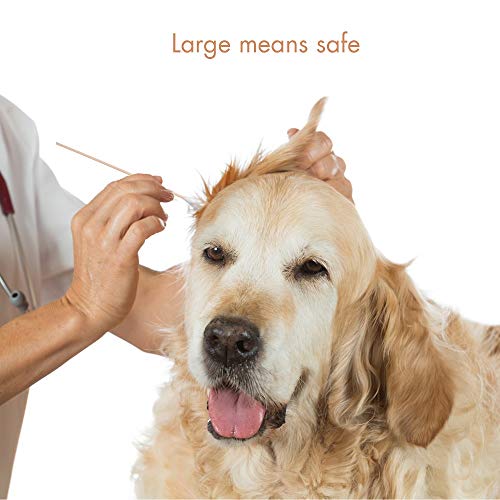 GLADOG 6 Inch Professional Large Cotton Buds for Dogs, Specially Designed Dog Cotton Buds with Wood Handle, Large Means Safe