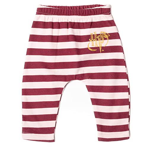 Harry Potter Hedwig Owl Hogwarts Baby Girls 3 Piece Outfit Set: Hoodie Pants Bodysuit White 3-6 Months